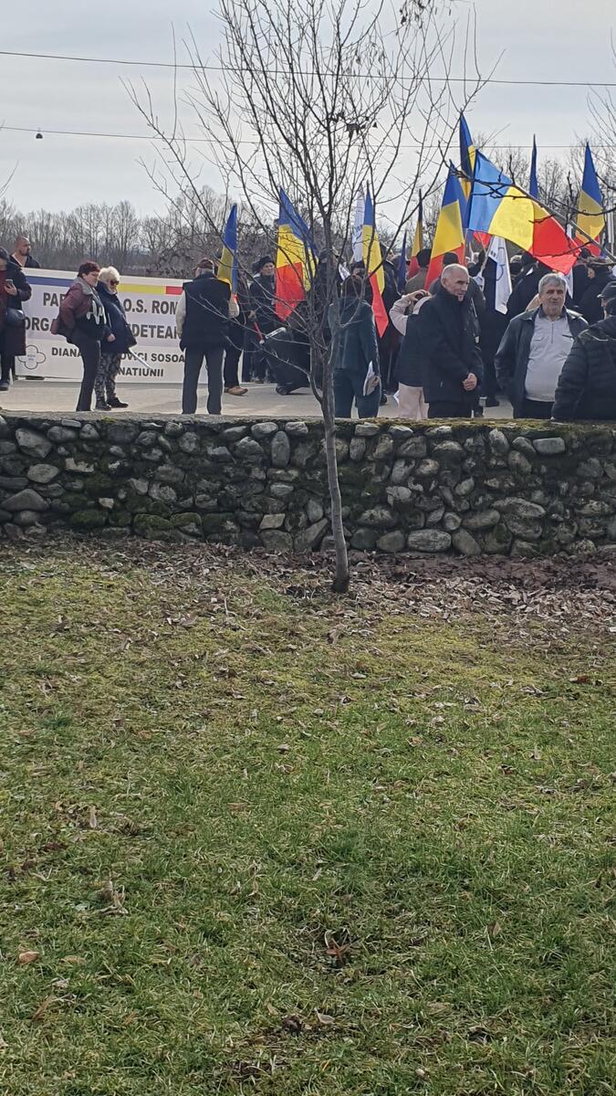 Șoșoacă, LIVE de la Hobița